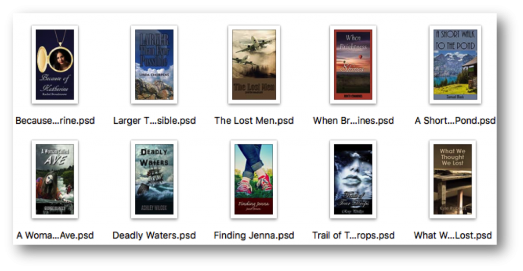 Kindle Publishing PLR